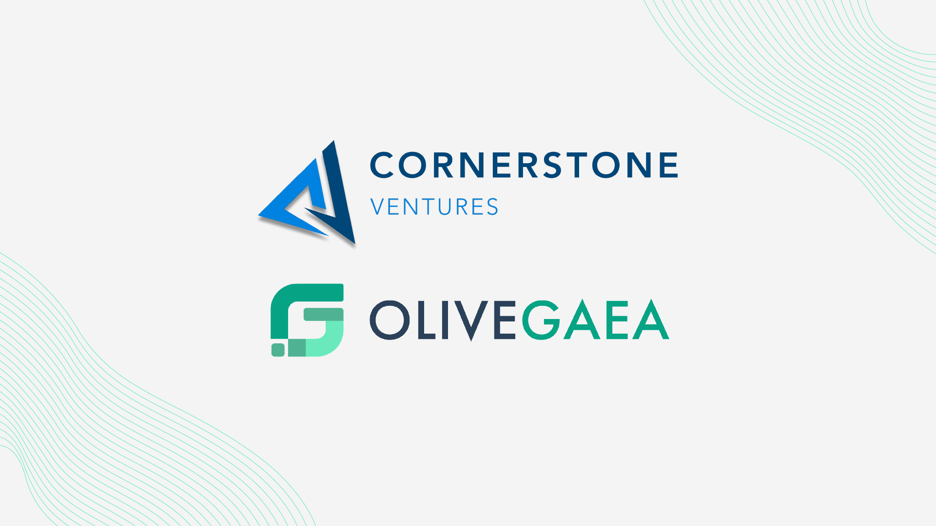 Dubai Climate-Tech Startup, Olive Gaea, Raises $1 Million USD to Drive ...