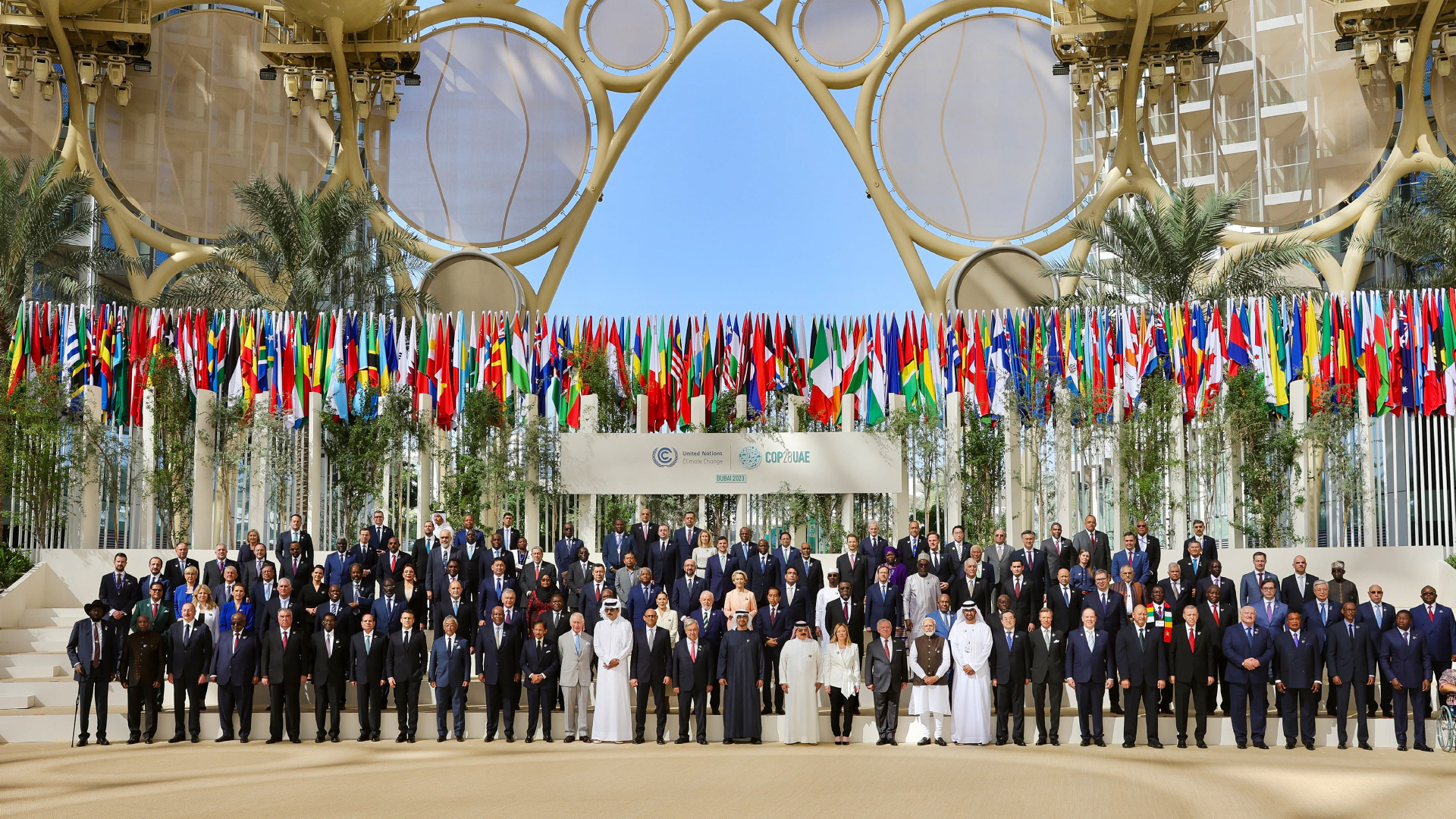 Olive Gaea successfully launches ZERO at COP28 UAE - Olive Gaea