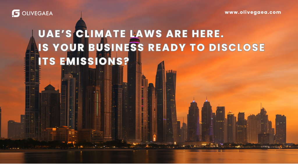 UAE’s Climate Laws Are Here. Is Your Business Ready to Disclose Its ...
